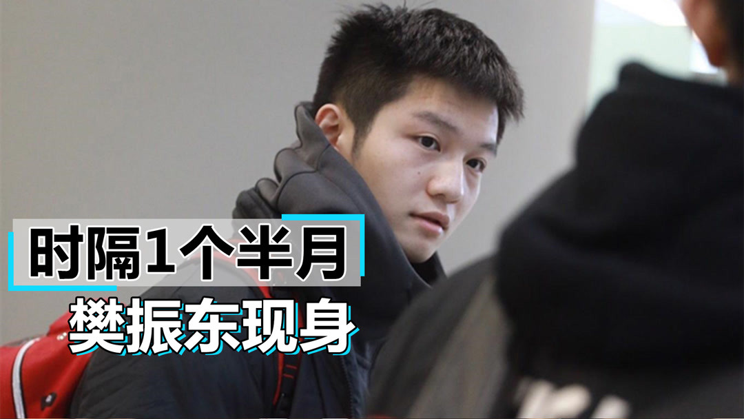向马龙看齐!樊振东缺席乒超联赛后曝光新动态,刘国梁真没看错他