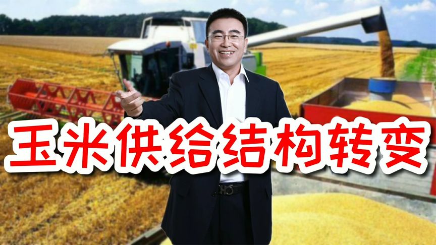 东北玉米价格上,供给结构转变,会对玉米价格产生哪些影响?