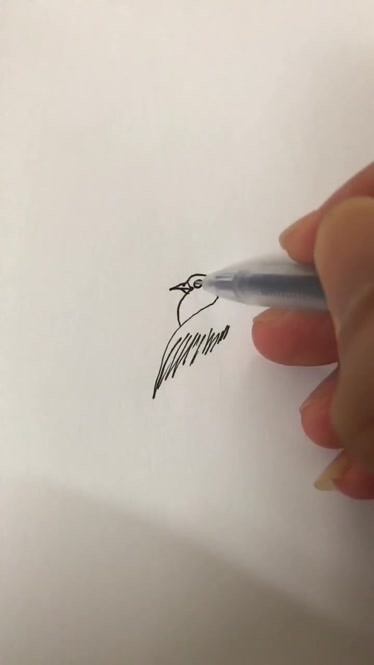 简笔画速成,这样飞翔的小鸟你见过吗?