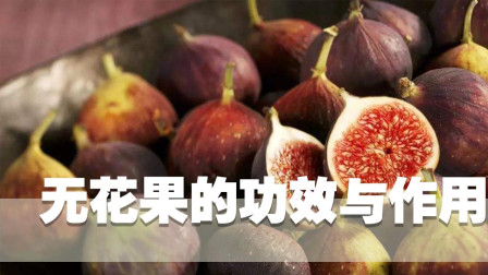 无花果的功效与作用这种随处可见的水果原来好处这么多 无花果的...