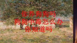 你养狗狗吗?狗狗中毒怎么办知道吗?