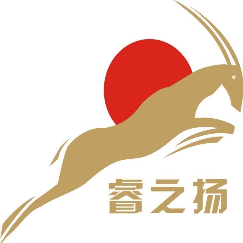 睿之扬科技咨询 