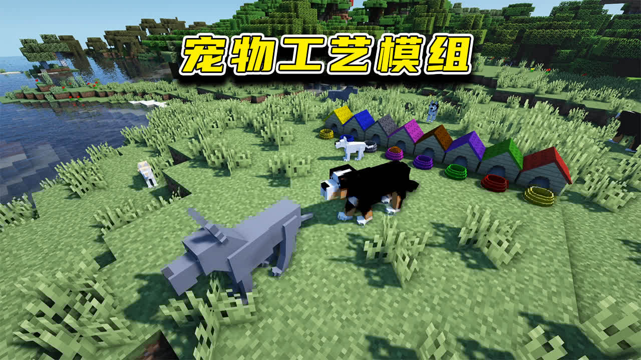 我的世界MC│添加更多宠物类型!让宠物治愈你的世界吧!
