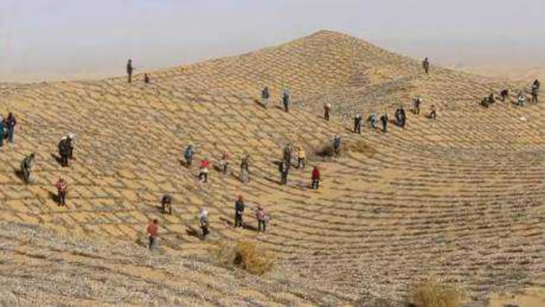 中国辛苦治沙30年,艰难将沙漠变绿洲,如今却出现了这种东西