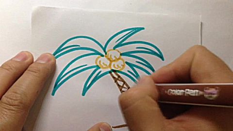 儿童简笔画讲解教程.椰子树的画法