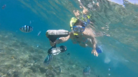 遨游海底的水下推进器,让你成为优雅的美人鱼,还能"调戏"朋友
