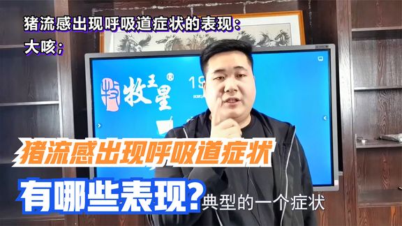 猪流感出现呼吸道症状的表现有哪些?养猪人需要知道这几点!