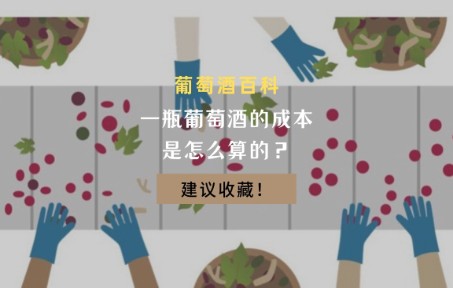 一瓶葡萄酒的成本是怎么算的?