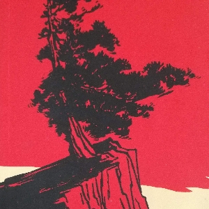 胡思乱想的小蒋 