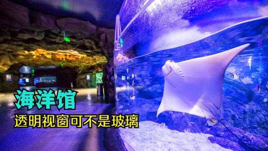 海洋馆视窗制造过程,一直以为是钢化玻璃,今天才知道是亚克力!