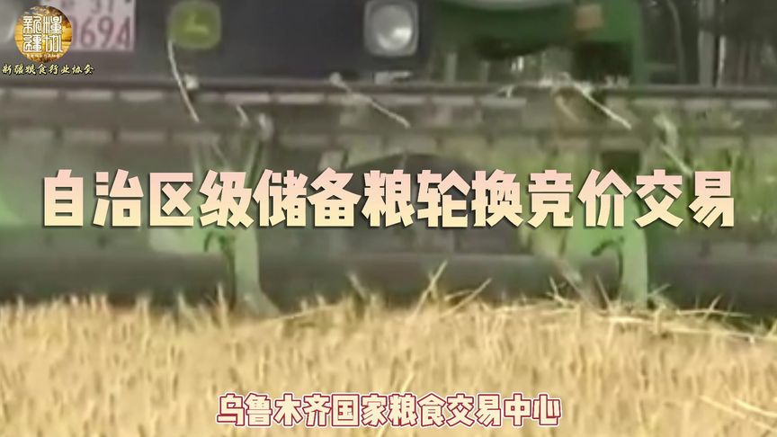 自治区级储备粮轮换竞价交易#小麦 #价格 #菜籽油