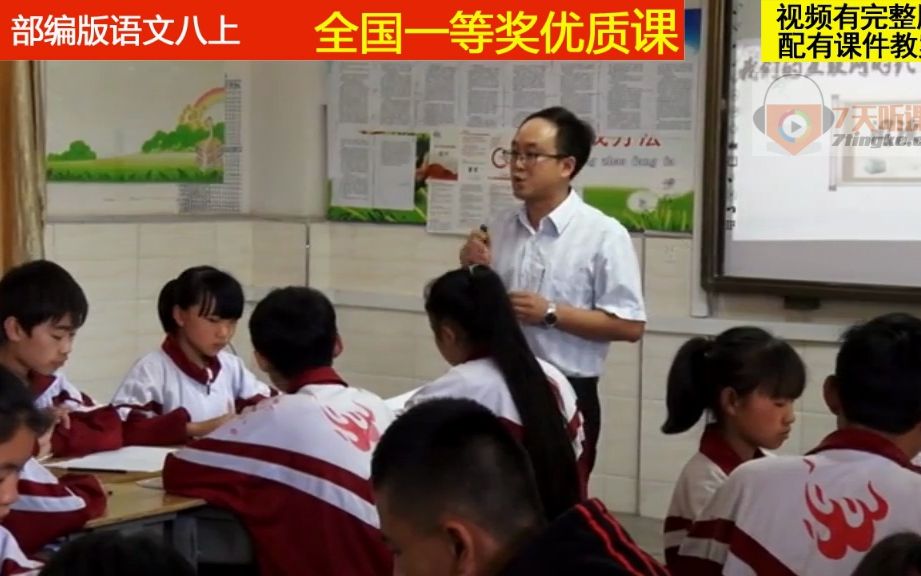 部编版语文八上《我们的互联网时代》肖老师优质课