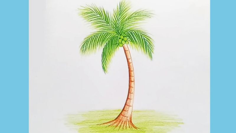 几分钟教你画一棵树的简笔画教程!