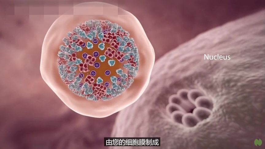 新冠状病毒进入人体后都发生什么?#新冠状病毒