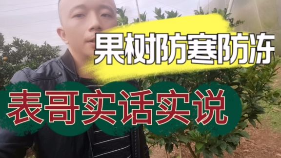 砖家预计说:今年会是个寒冬,所以果树的防冻害你要做好哪些准备