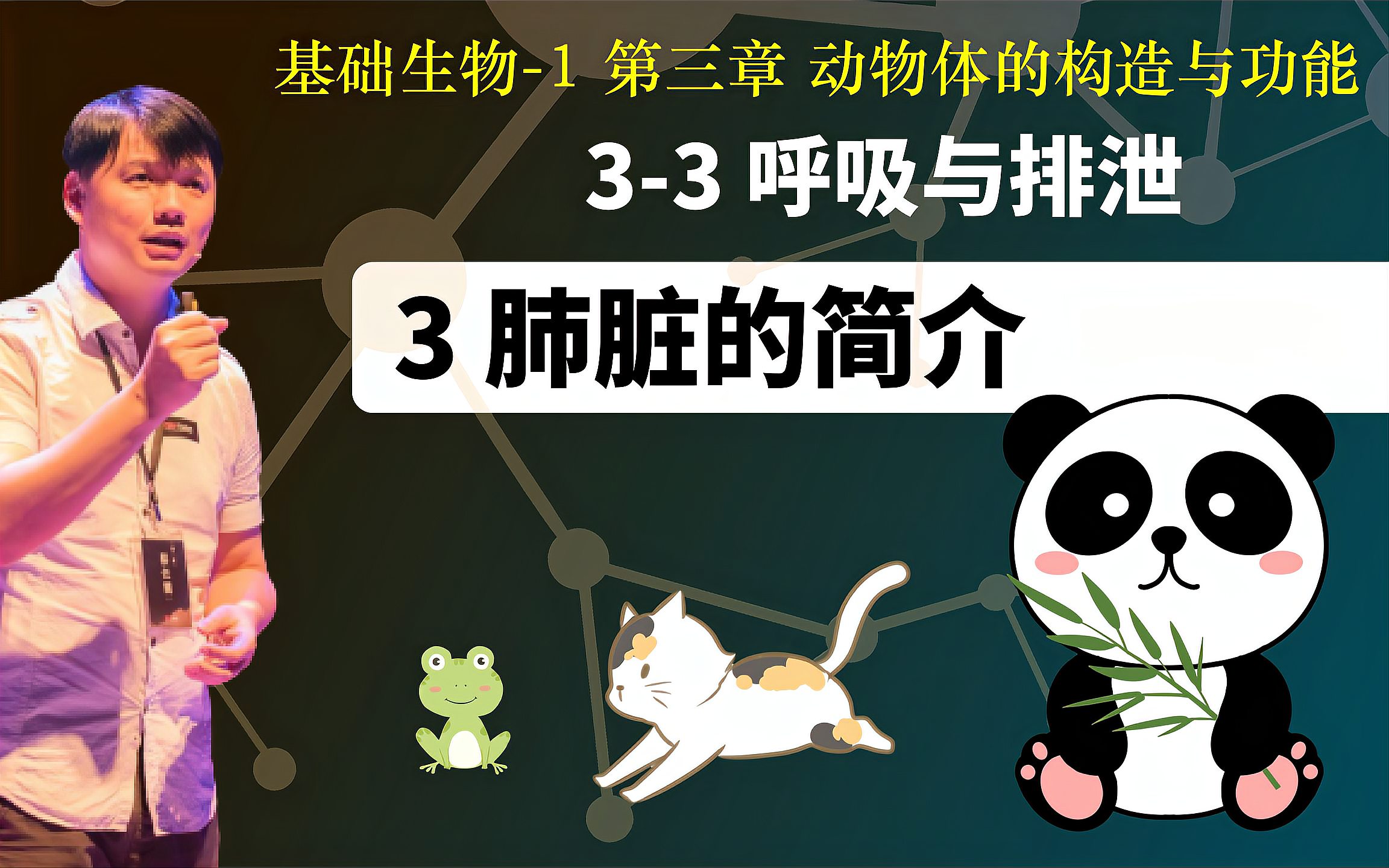 基础生物学3-3.3 肺部的简介