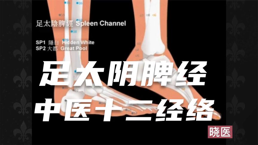 足太阴脾经巡行路径及穴位组成;中医十二经络;中医腧穴;国学