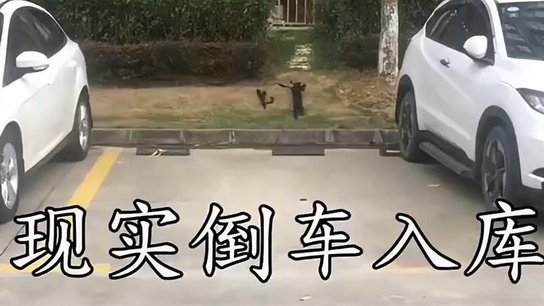 现实中的倒车入库,看着难其实很简单!