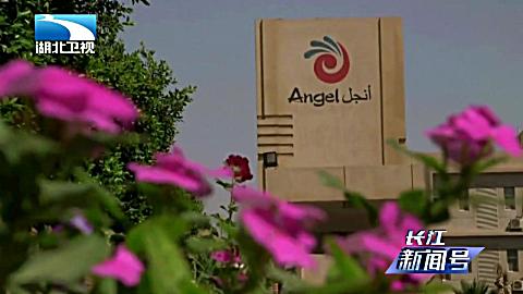 湖北如何实施“一带一路”战略?安琪酵母给出了优秀回答!