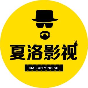 夏洛影视解说 