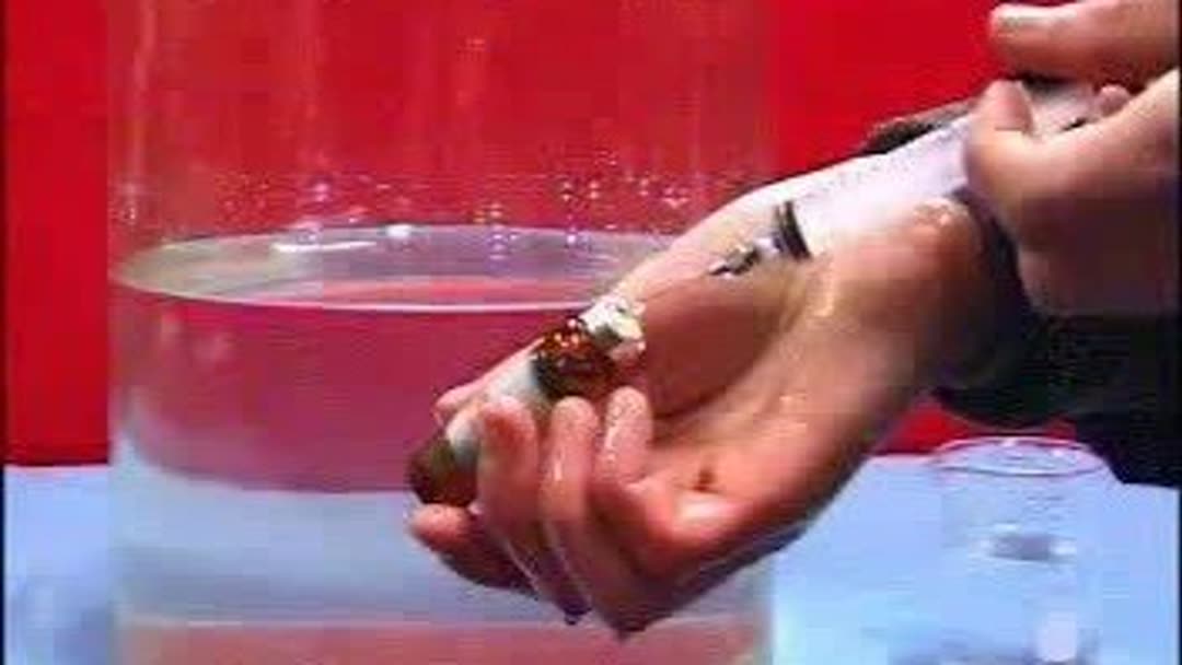 探究物体浮沉条件(浮力教学视频)