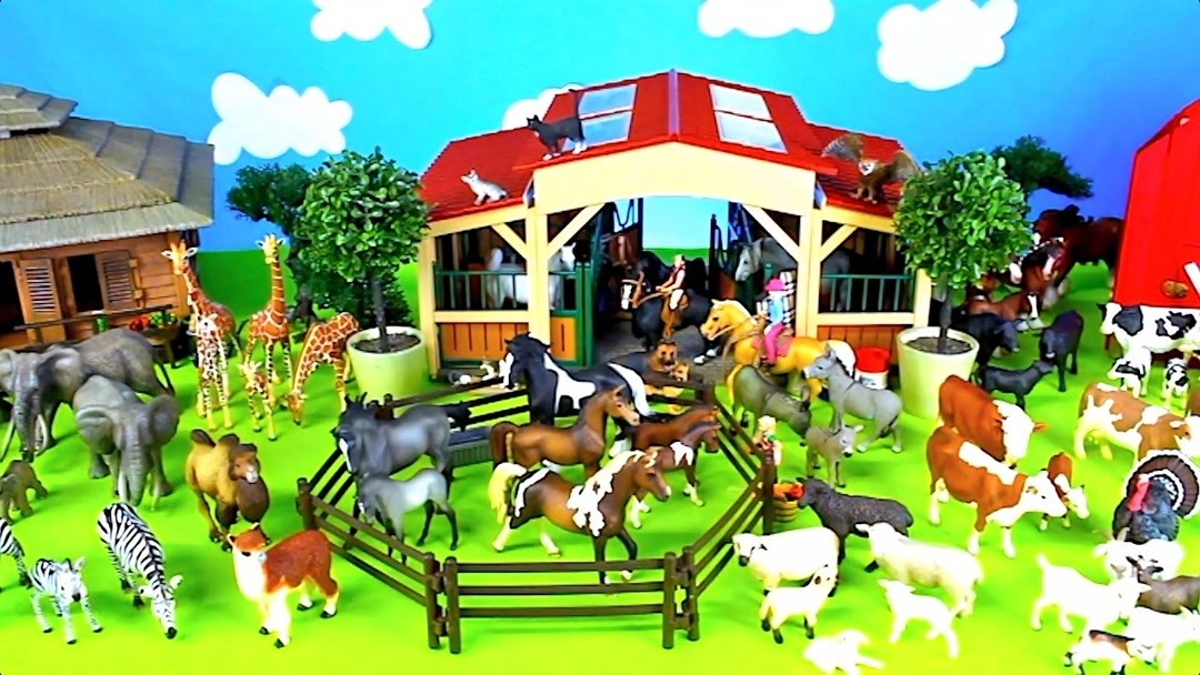 认识生活在森林和农场中的小动物们