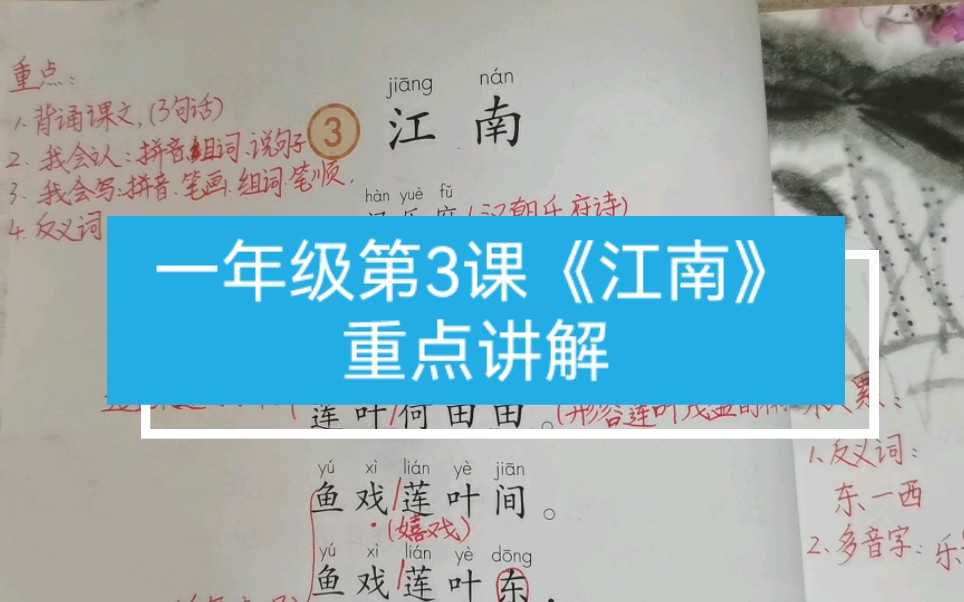 一年级第三课《江南》重点讲解,每天跟着学一学,家长辅导很轻松