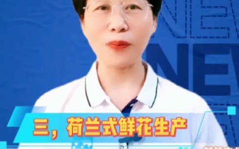 【智能农业】荷兰式鲜花生产