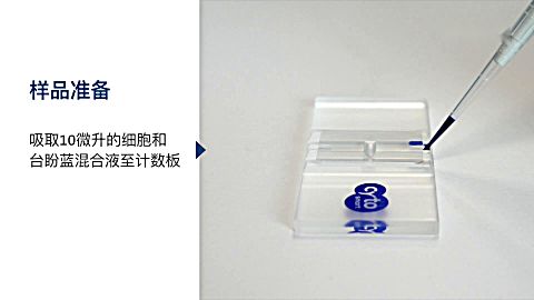 康宁细胞计数仪操作演示