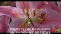 A1093 谭晶 党旗更鲜艳 原版 伴奏完整 试听