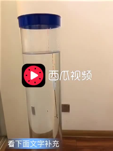 调漂,调五钓五,双钩挂上饵料抛入钓点钓目调整为5目,一钩躺底一钩到底