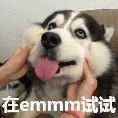 懂点运营的狗子 