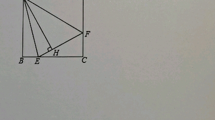 中考数学 几何经典题型 半角模型自主旋转思维