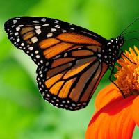 大鱼用户1555576204756856 