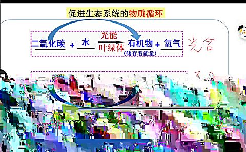 完成 动物能促进生态系统的物质循环 管晓娟