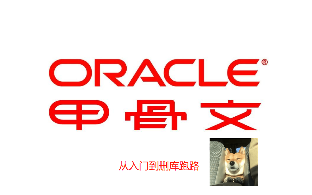 《Oracle入门》