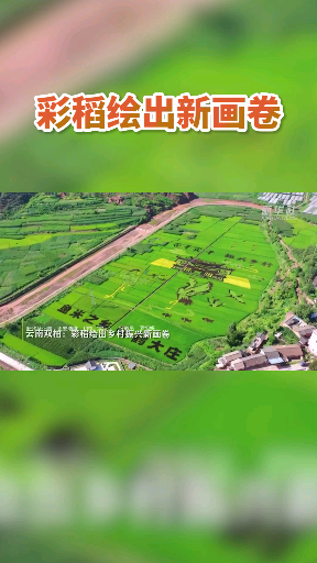 ...融合发展,深入推进乡村振兴,种植了约100亩彩色水稻。 来源:新华网