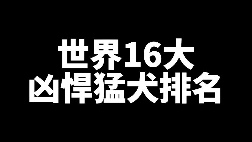 世界十六最凶悍的犬类排行 最凶的狗排名 什么狗最凶猛?