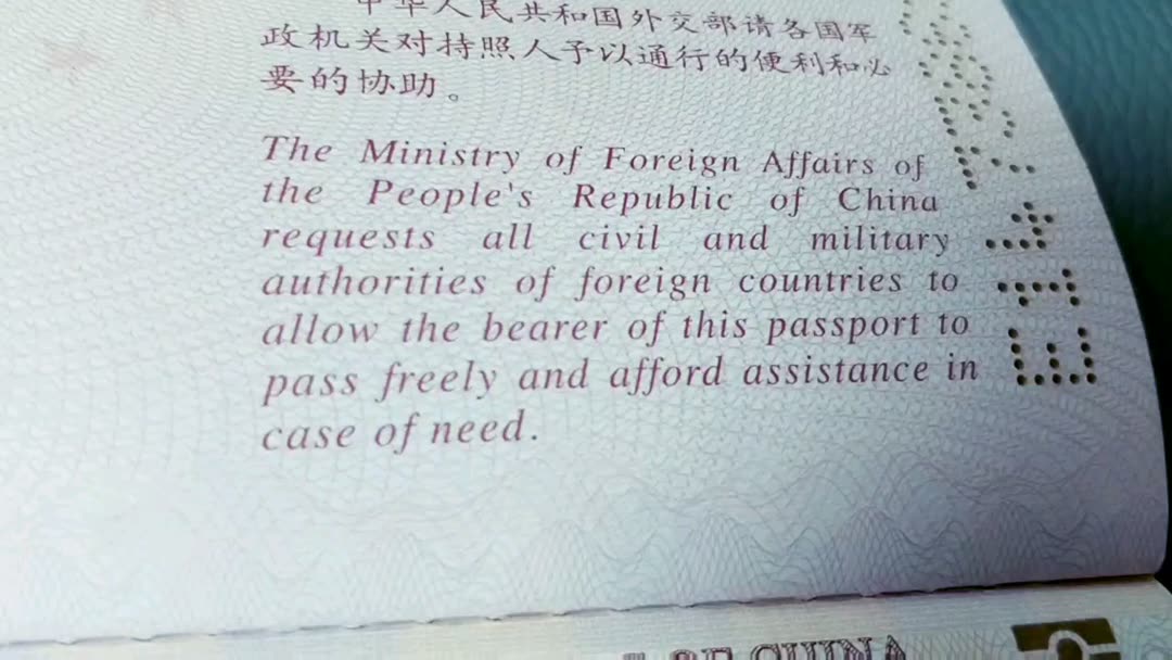战狼二护照背面的话只是为了鼓舞中国人心的,这才是真实的句子,其实...