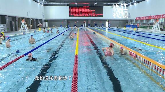 杭州卫生监督执法机构抽查游泳场,第一批查出20家不合格