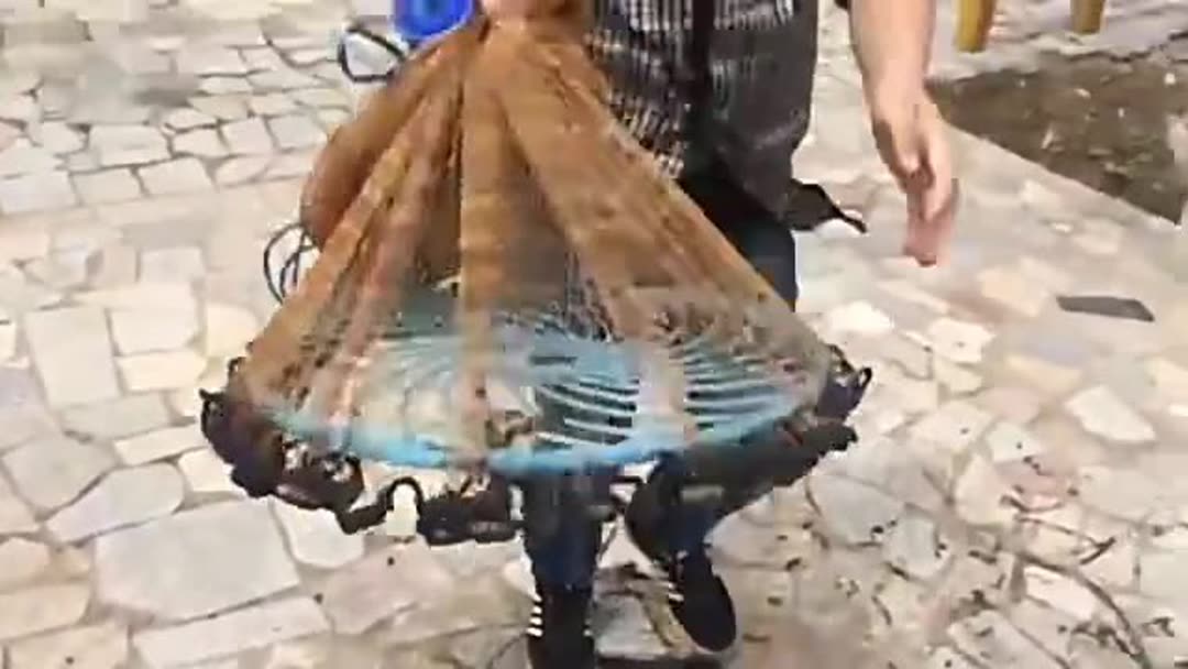 飞盘鱼网整理视频教程1