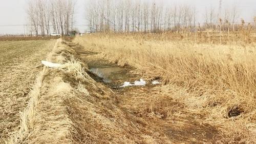 一个小时摆布可以拿鱼,朋友们敬请期待#户外 #抖音直播