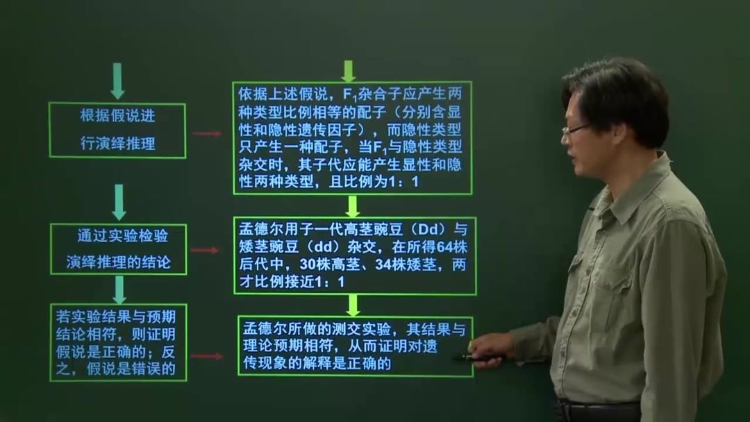 基因的分离定律2 黄新 2014高考生物总复习