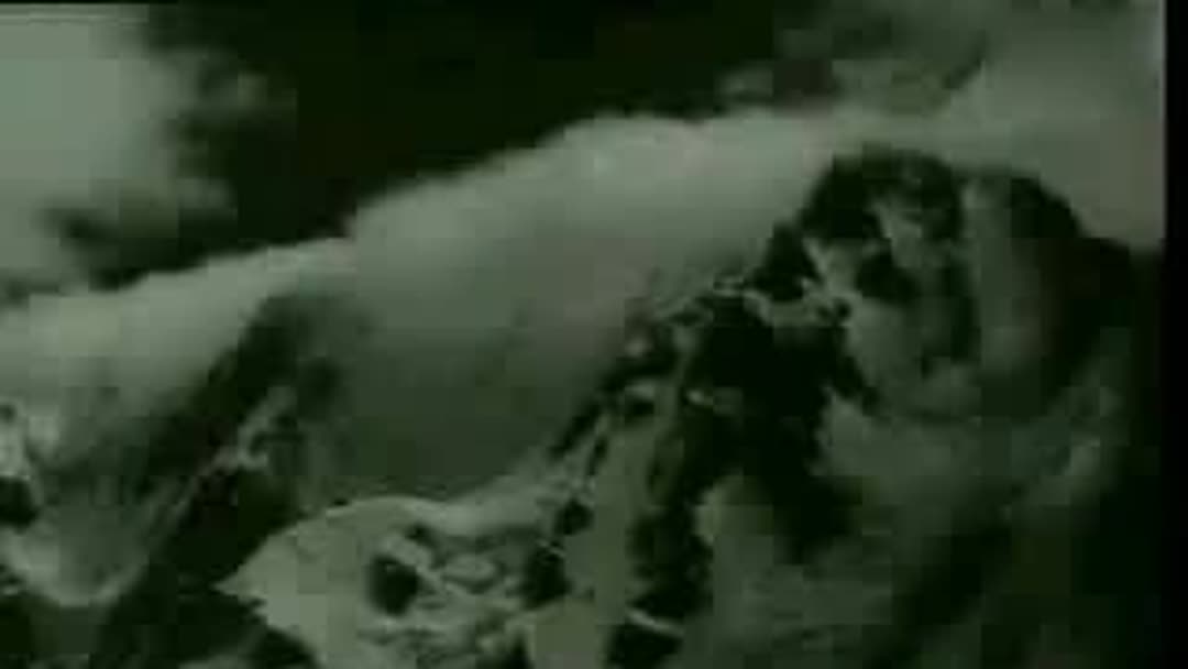 电影《冰山上的来客》插曲:光荣啊,祖国的儿女