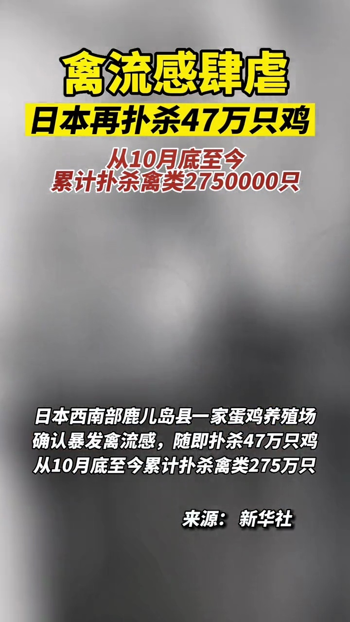 禽流感肆虐,日本再扑杀47万只鸡!从10月底至今累计扑杀禽类275万只!...