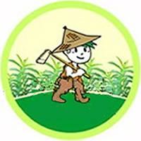 古今明鉴历史 