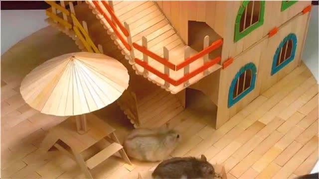 铲屎官嫌仓鼠窝太low,自制超豪华...