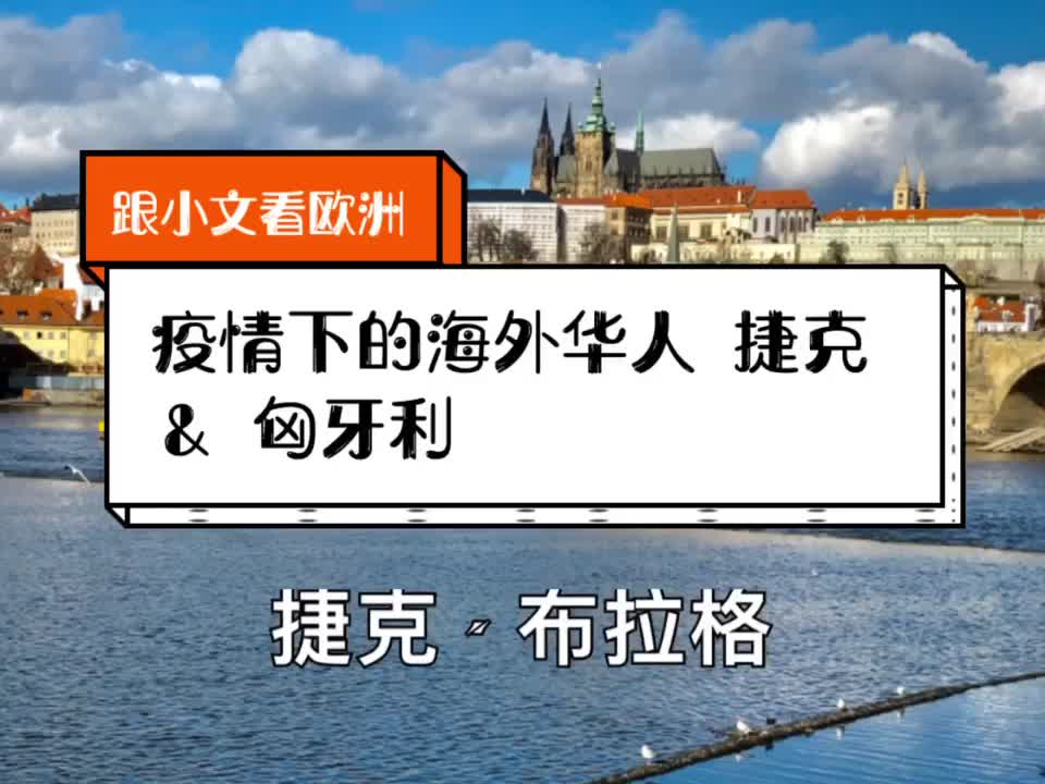 疫情下海外华侨华人