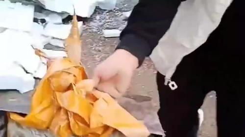 农村大学生研究的废品回收再利用,这么大块塑料袋在上面,有种被骗的...