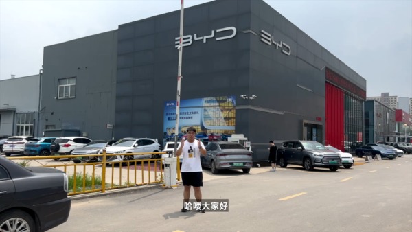 「比亚迪·海豚」「比亚迪